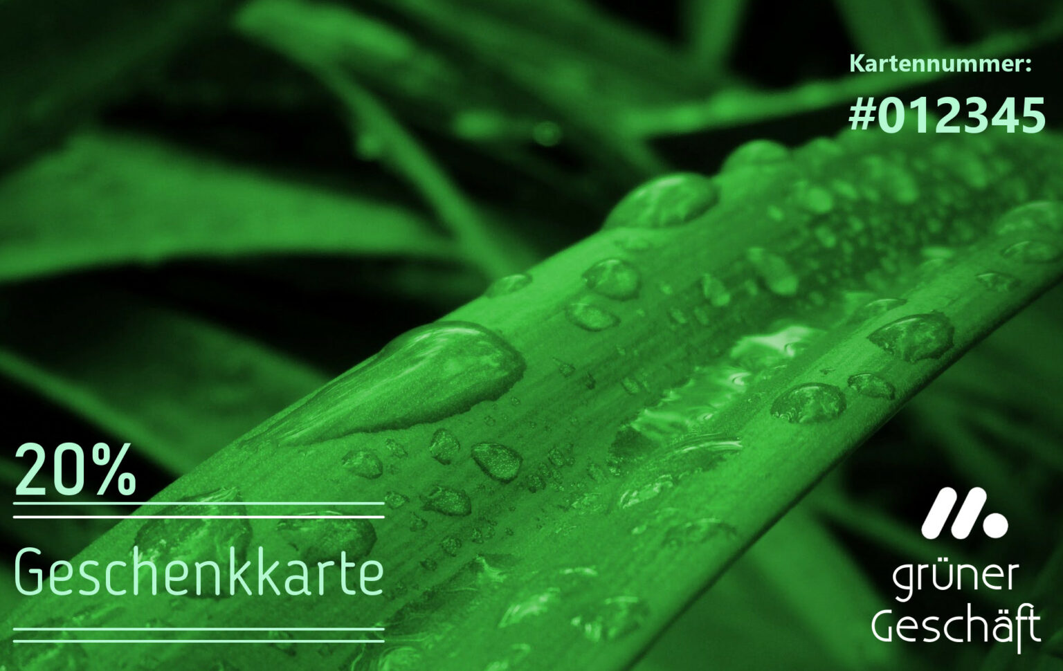 Setzen Sie auf Öko-Material - Teil 2 - Ökologische Plastikkarten